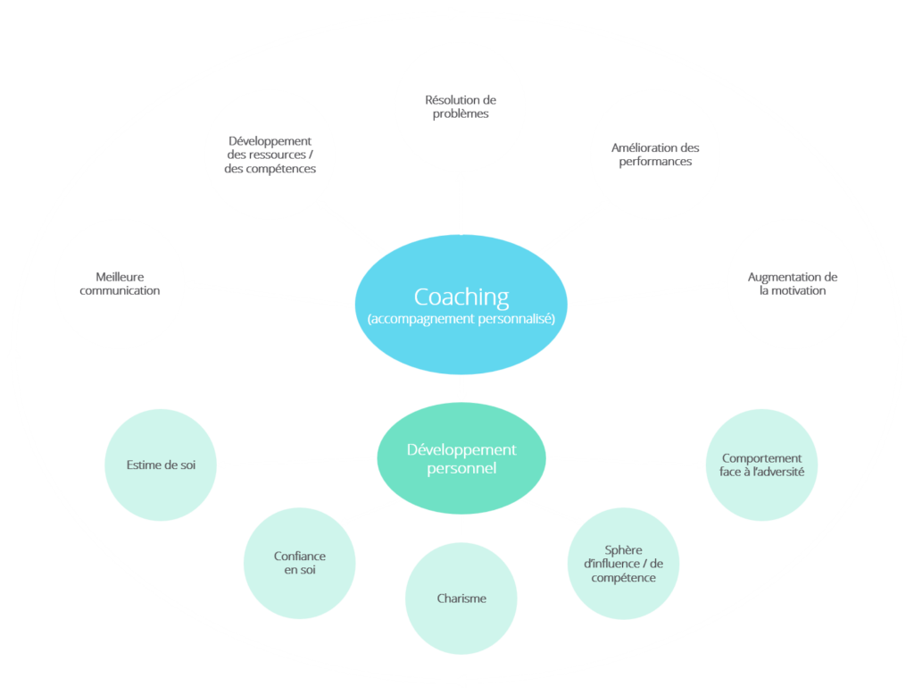Services | Bee Coaching